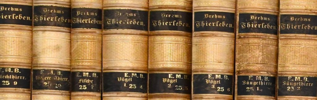 Romanian Digital Libraries – Biblioteca Universității